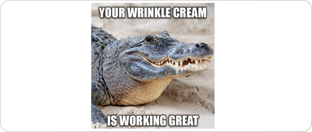 Multimodal Deep Learning: Definition, Examples, Applications