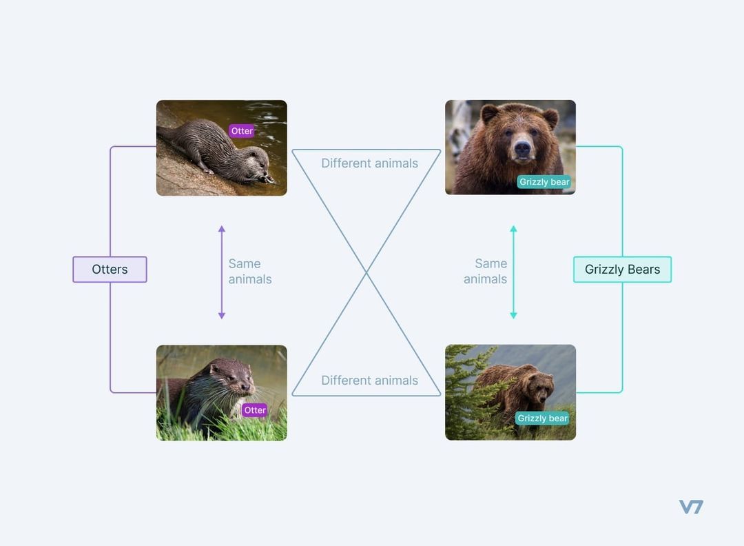 What Is Transfer Learning? [Examples & Newbie-Friendly Guide]