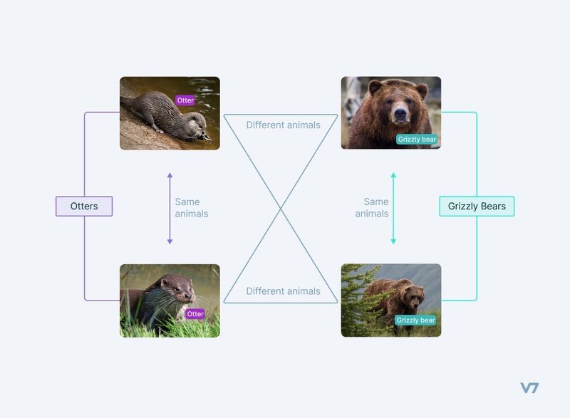 The Beginner’s Guide to Contrastive Learning