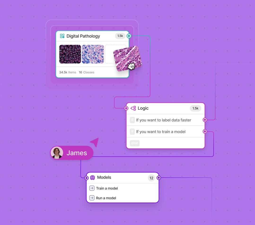 How to Build AI-Powered Digital Pathology Products [With Tutorials]