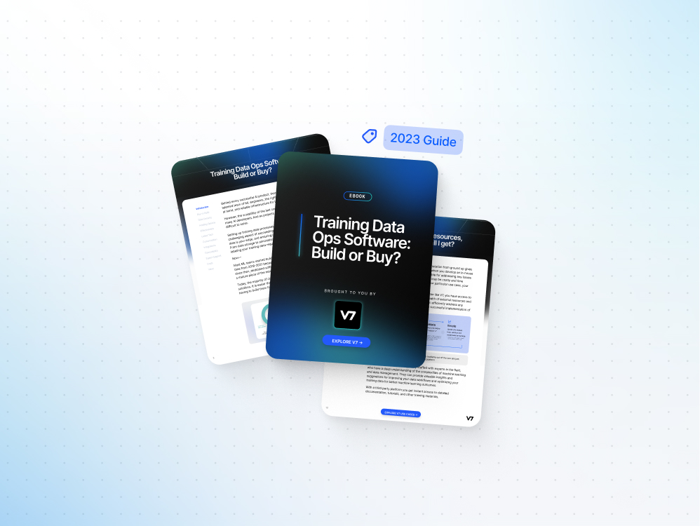 Build Vs. Buy? Tackling Training Data Ops Software | Free Guide