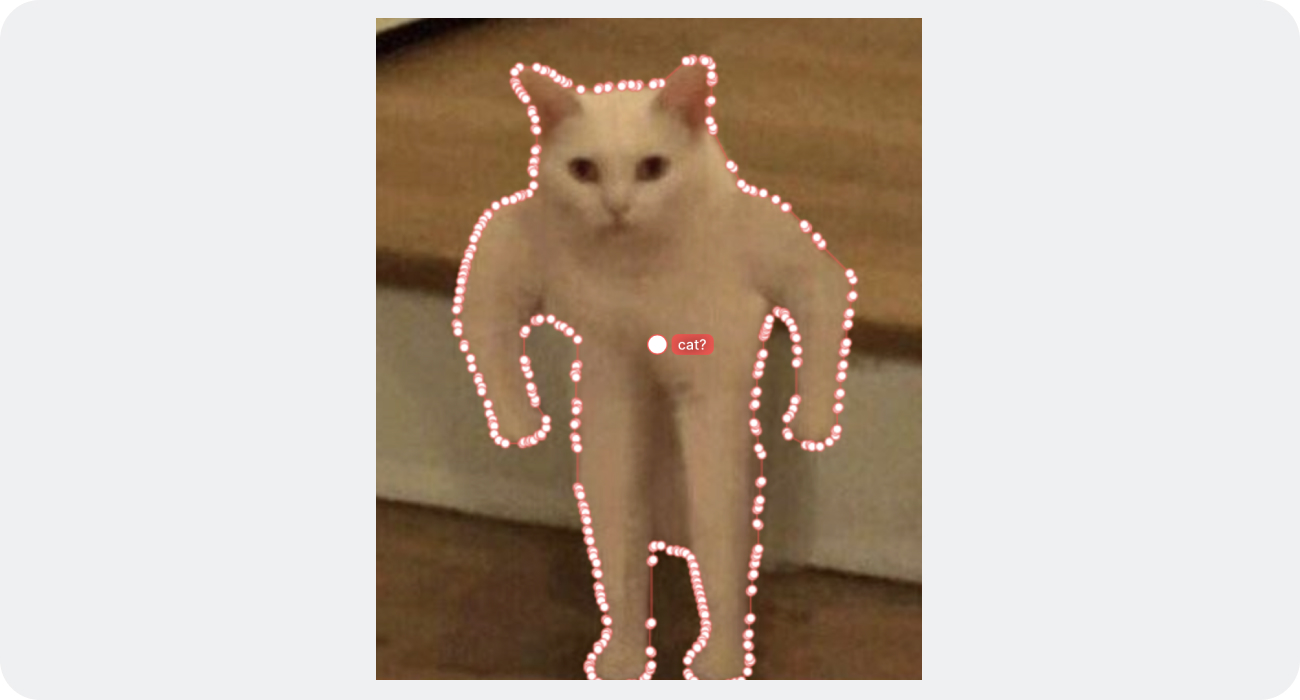 5 Best Practices for Writing Annotation Guidelines