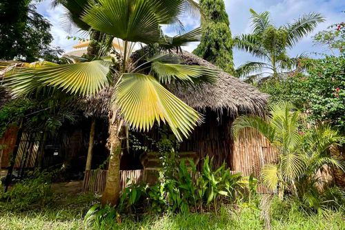 Diani Backpackers - Diani Beach - Kenya