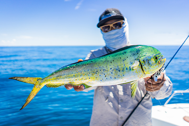 Tournament Sport Fishing in the Bahamas | Odyssey Blog
