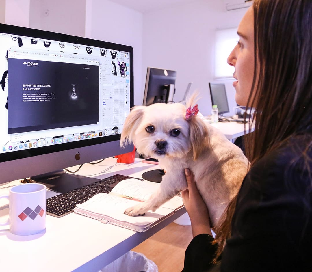 Careers - Moveo Group