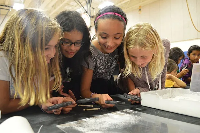 Educators | Children's Science Center