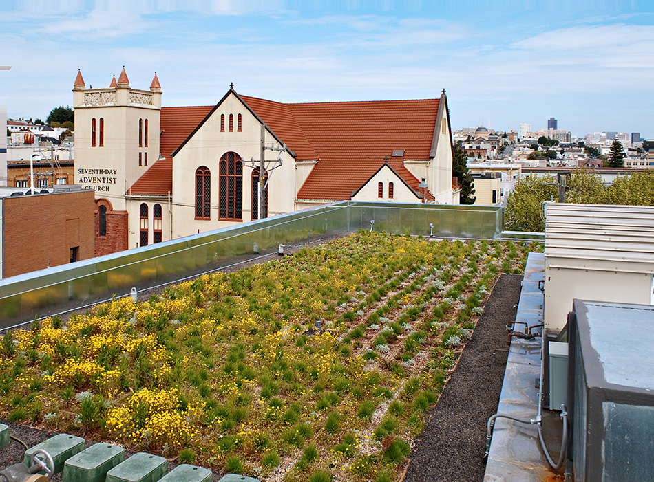 Drew School | New Assembly Wing | San Francisco, CA