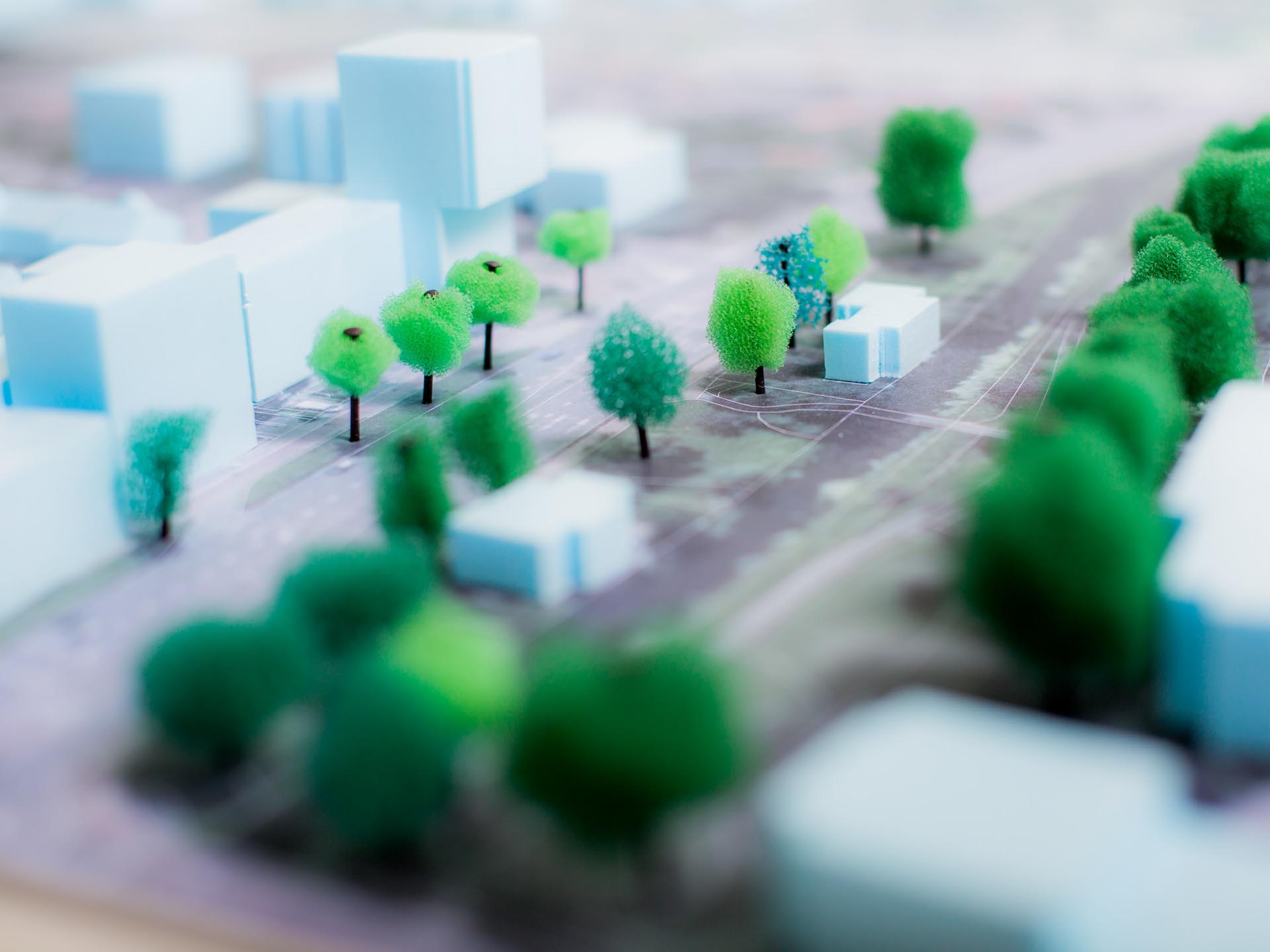 Klantcase iMoss - Team Beeldvoerders