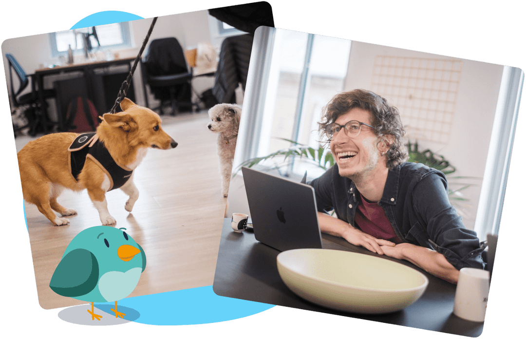 Work At Birdie | Join Us I Birdie