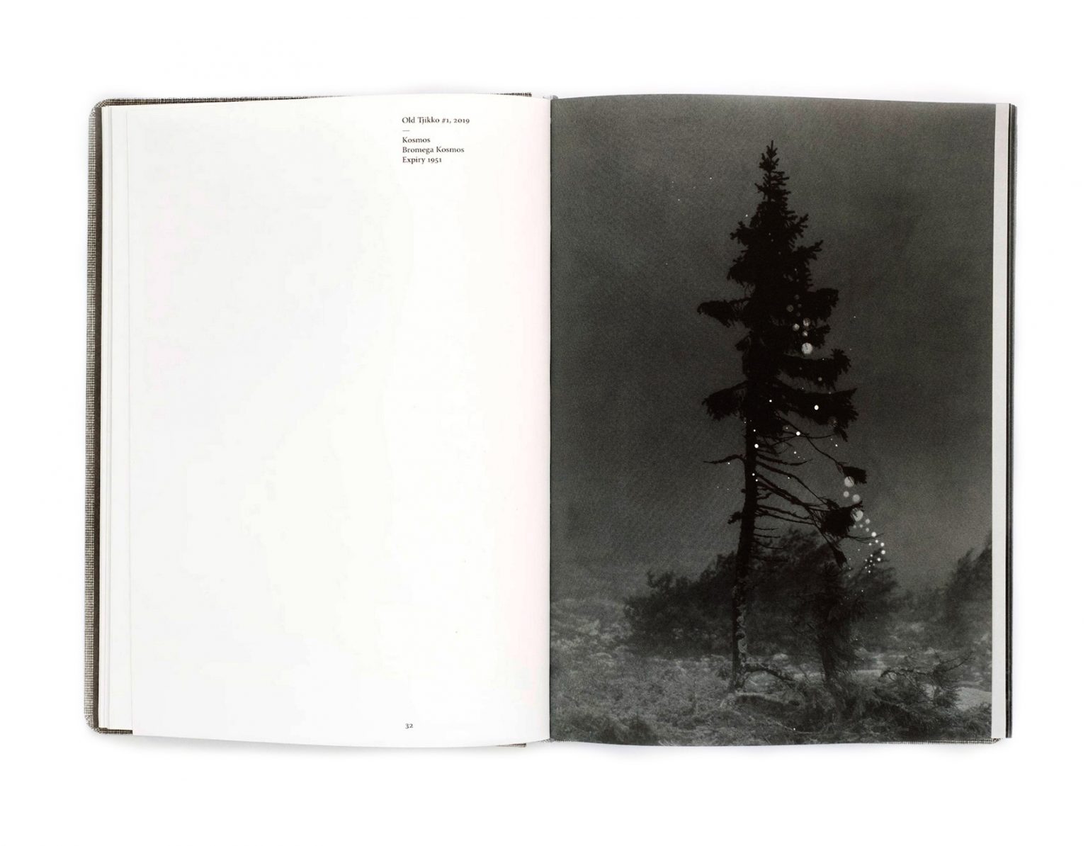 Nicolai Howalt Artist book about oldest tree in the world - Artdoc ...