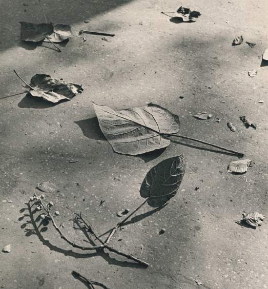 Ilse Bing Ilse Bing | Paris and Beyond - Artdoc Photography Magazine News