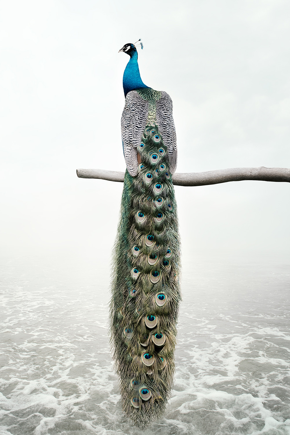 Alice Zilberberg Meditations - Artdoc Photography Magazine Inspiration