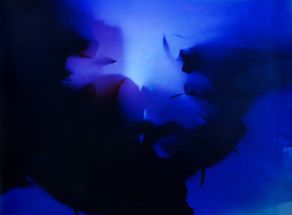 Christelle Boulé | Botanical photograms