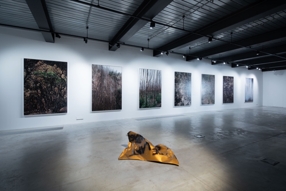 Hangar Brussels Belgium - Artdoc Photography Magazine Galleries