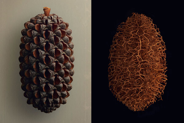 Xposure Xposure International Photography Festival - Artdoc Photography ...