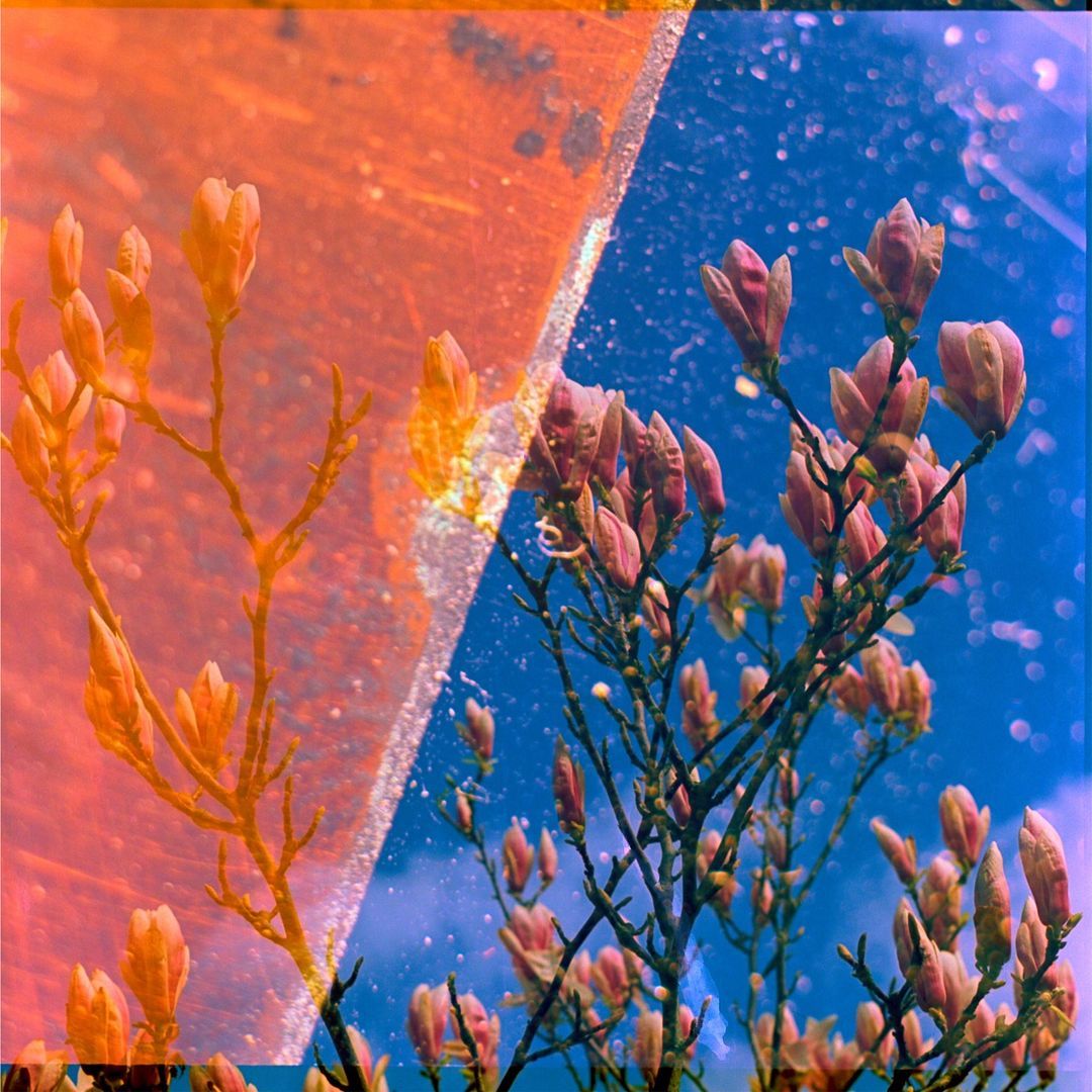 Visual Diary Online Photo Exhibition by Artdoc Photography Magazine