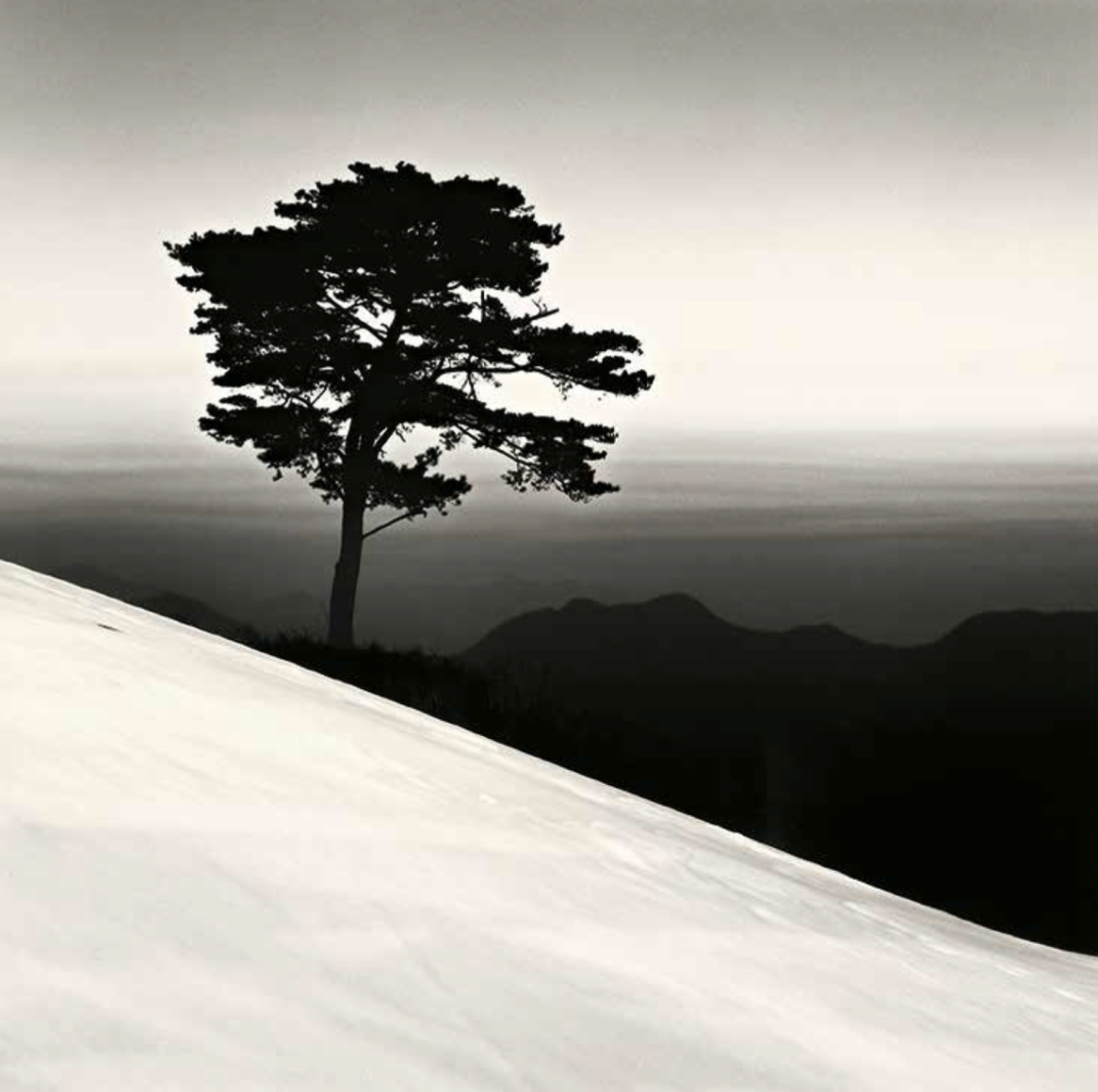 Photo Basel 2023 - Artdoc Photography Magazine News