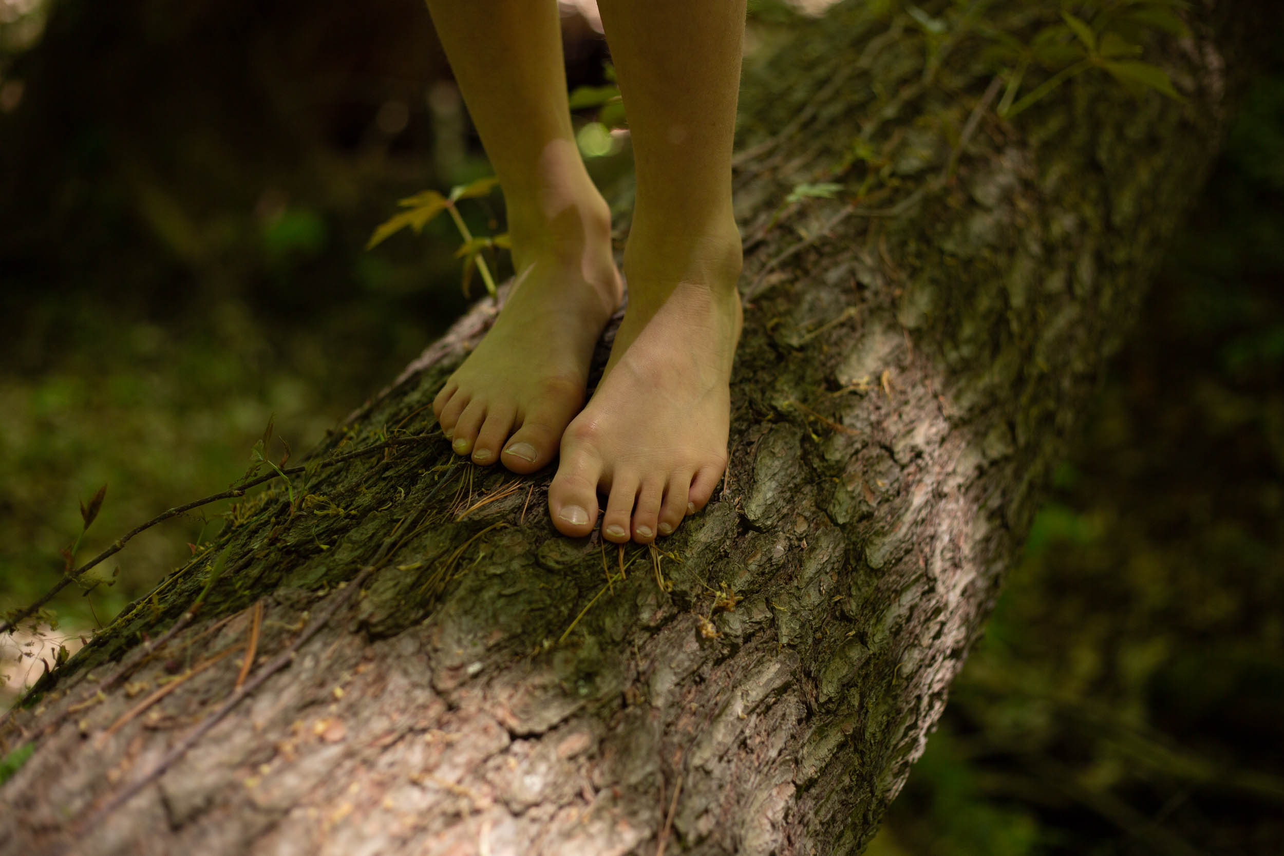 Elizabeth Lynch Woodland in Artdoc Photography Magazine Featured ...