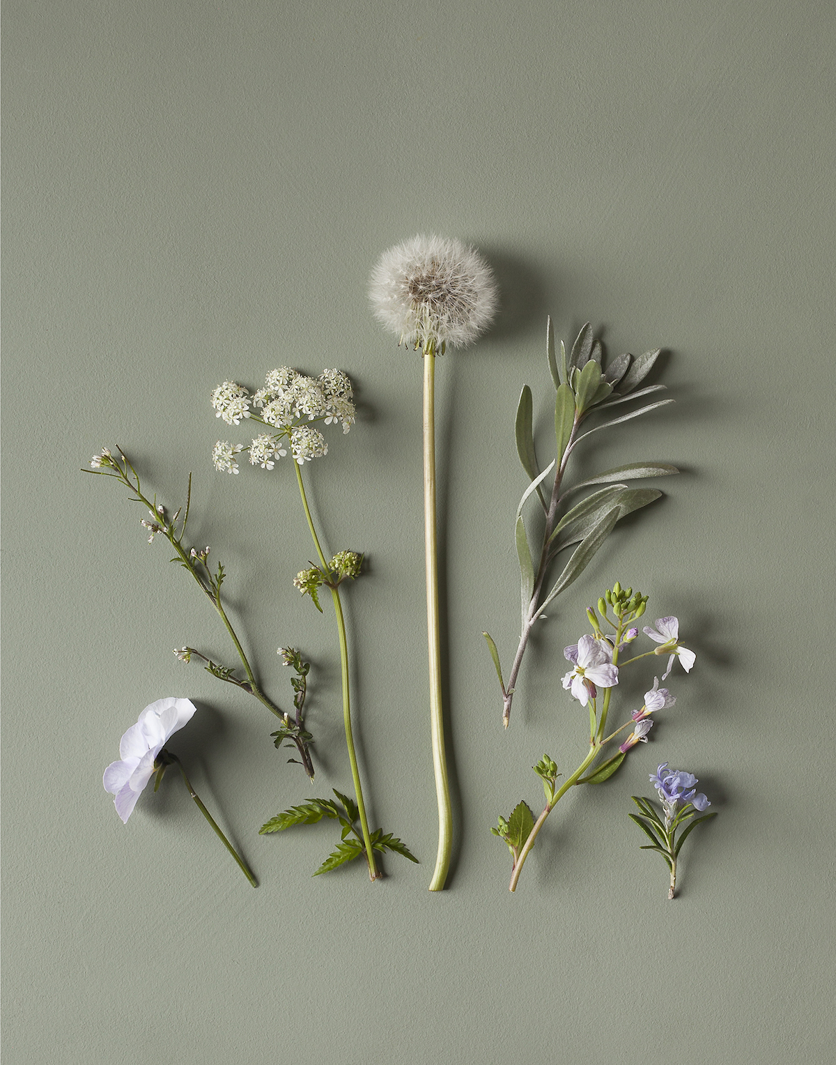 Emma Robinson Still Life with Flowers in Artdoc Photography Magazine ...