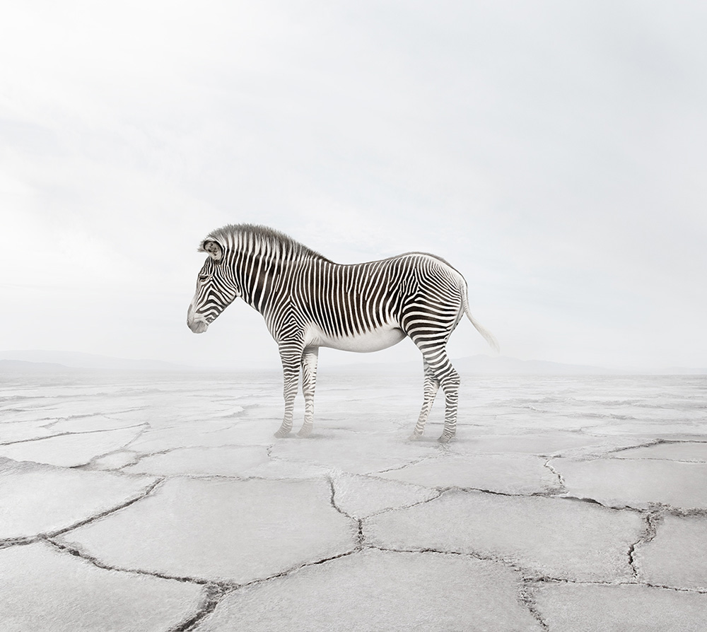 Alice Zilberberg Meditations - Artdoc Photography Magazine Inspiration