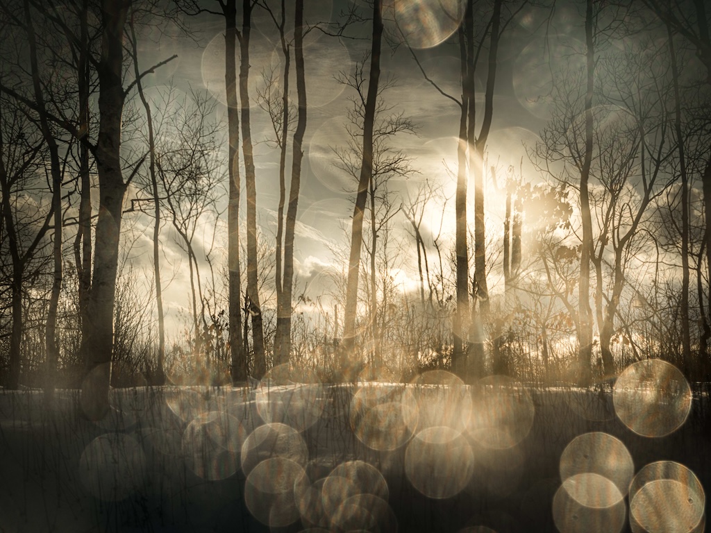 Todd Hido Todd Hido: The End Sends Advance Warning - Artdoc Photography ...