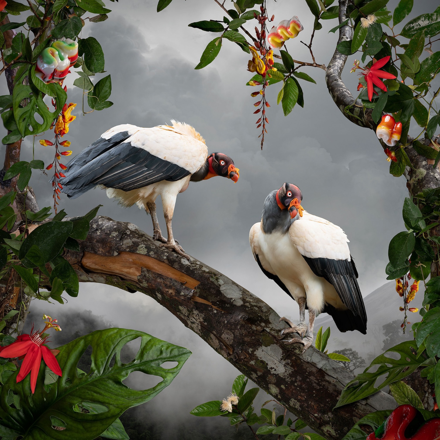 Jason DeMarte Post-dystopian landscape - Artdoc Photography Magazine ...