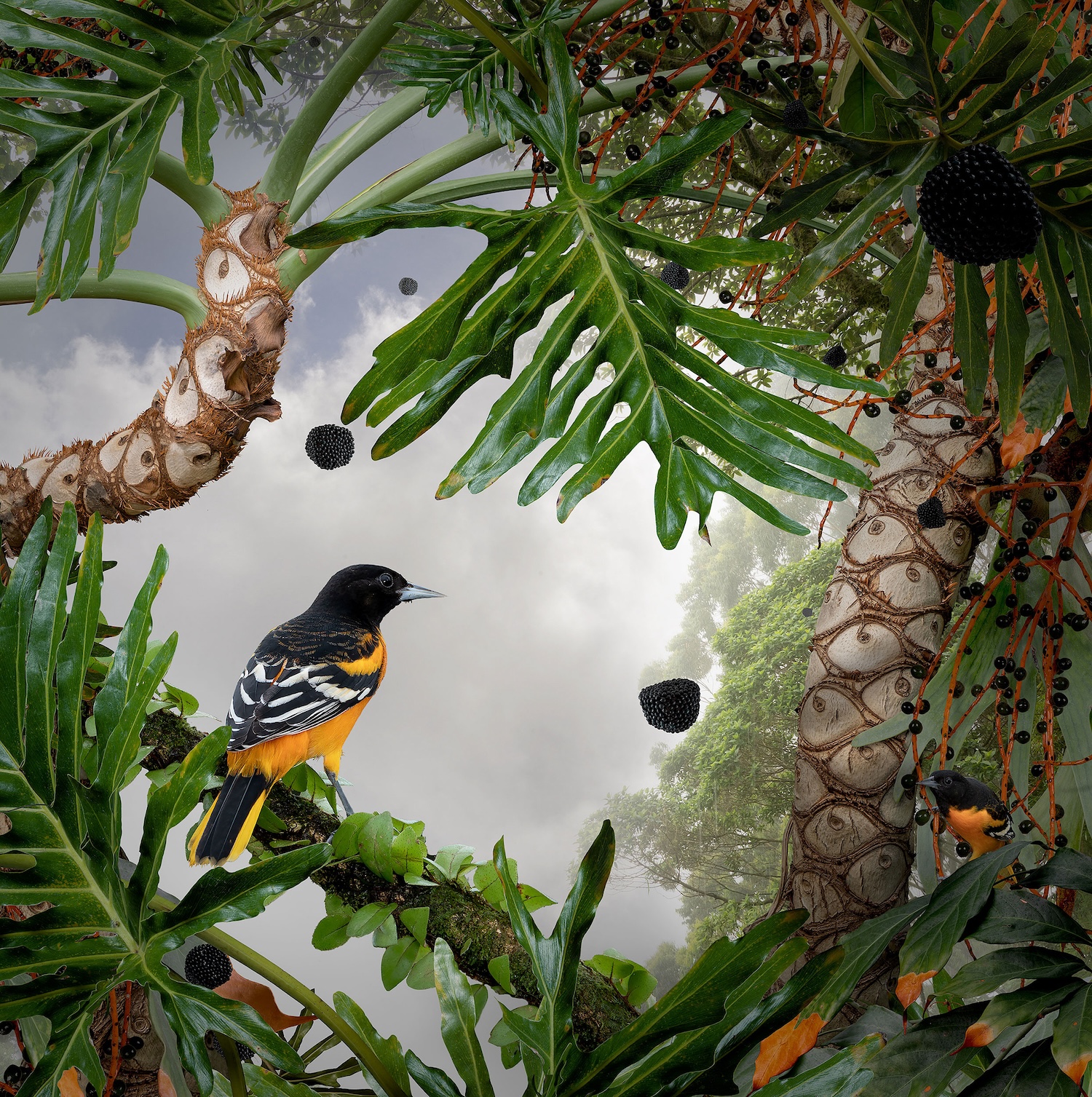 Jason DeMarte Post-dystopian landscape - Artdoc Photography Magazine ...