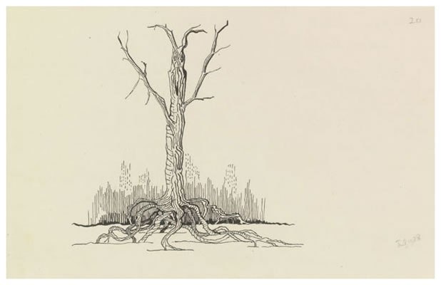 Tolkien’s Trees and Landscapes | Blog