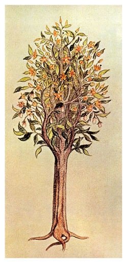 Tolkien’s Trees and Landscapes | Blog