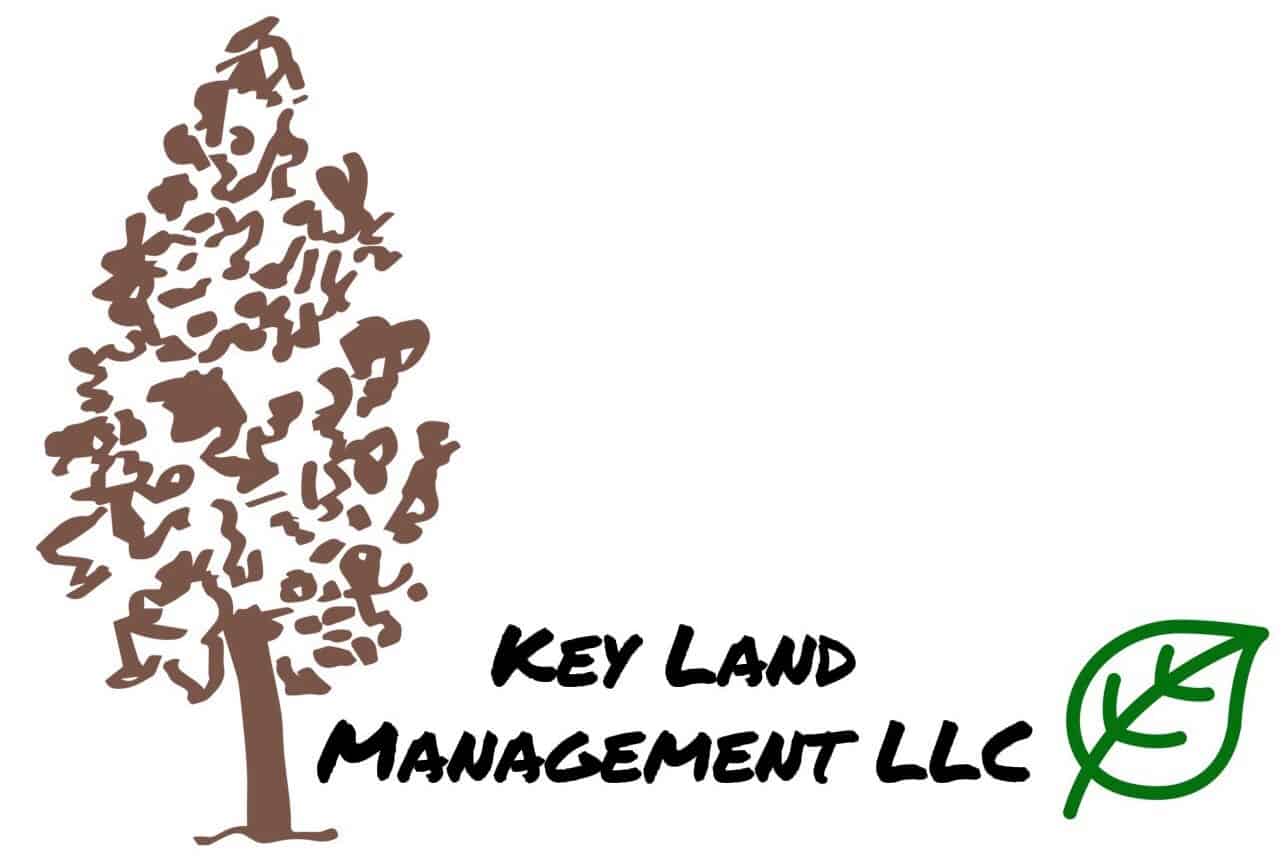 Welcome to AMS Financial