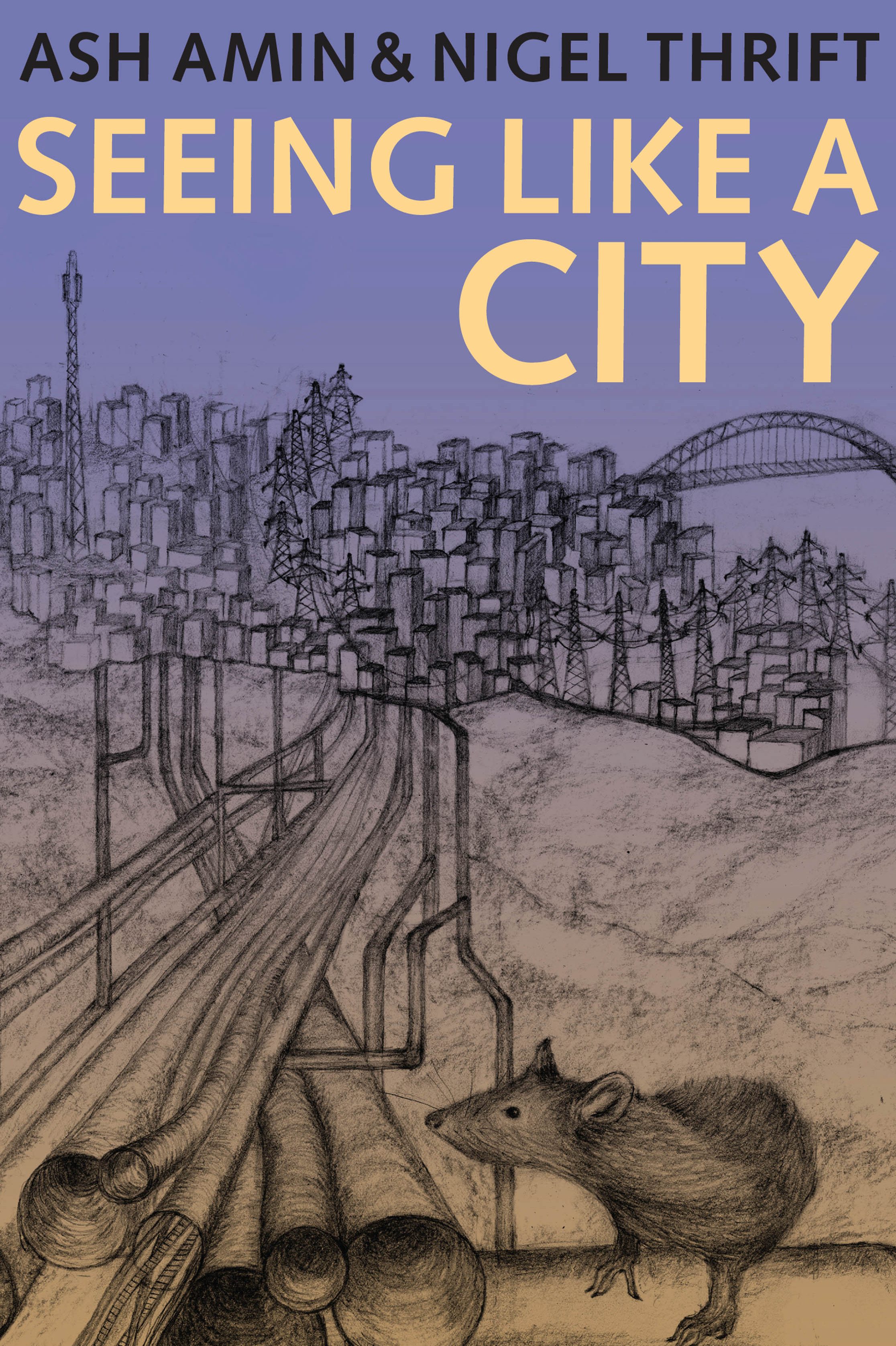 Seeing Like A City By Ash Amin And Nigel Thrift
