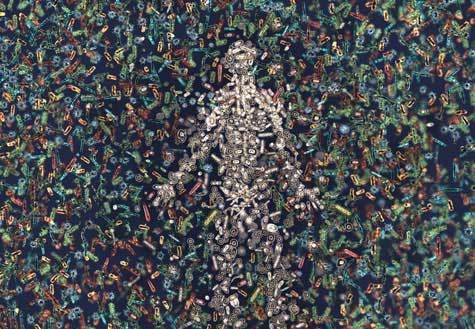 “Re-Wilding” The Body In The Anthropocene And Our Ecological Lives’ Work