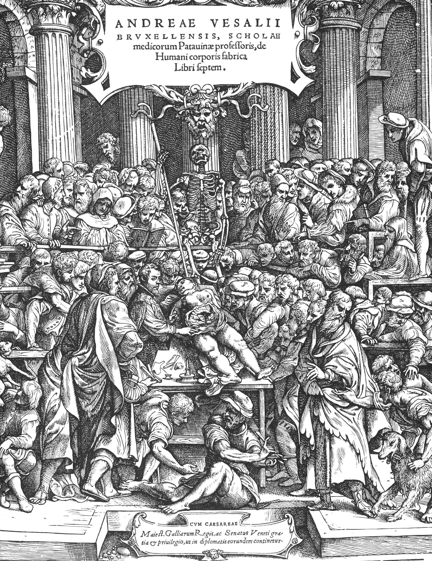 Atlas Of Epidemic Britain By Matthew Smallman-Raynor And Andrew Cliff