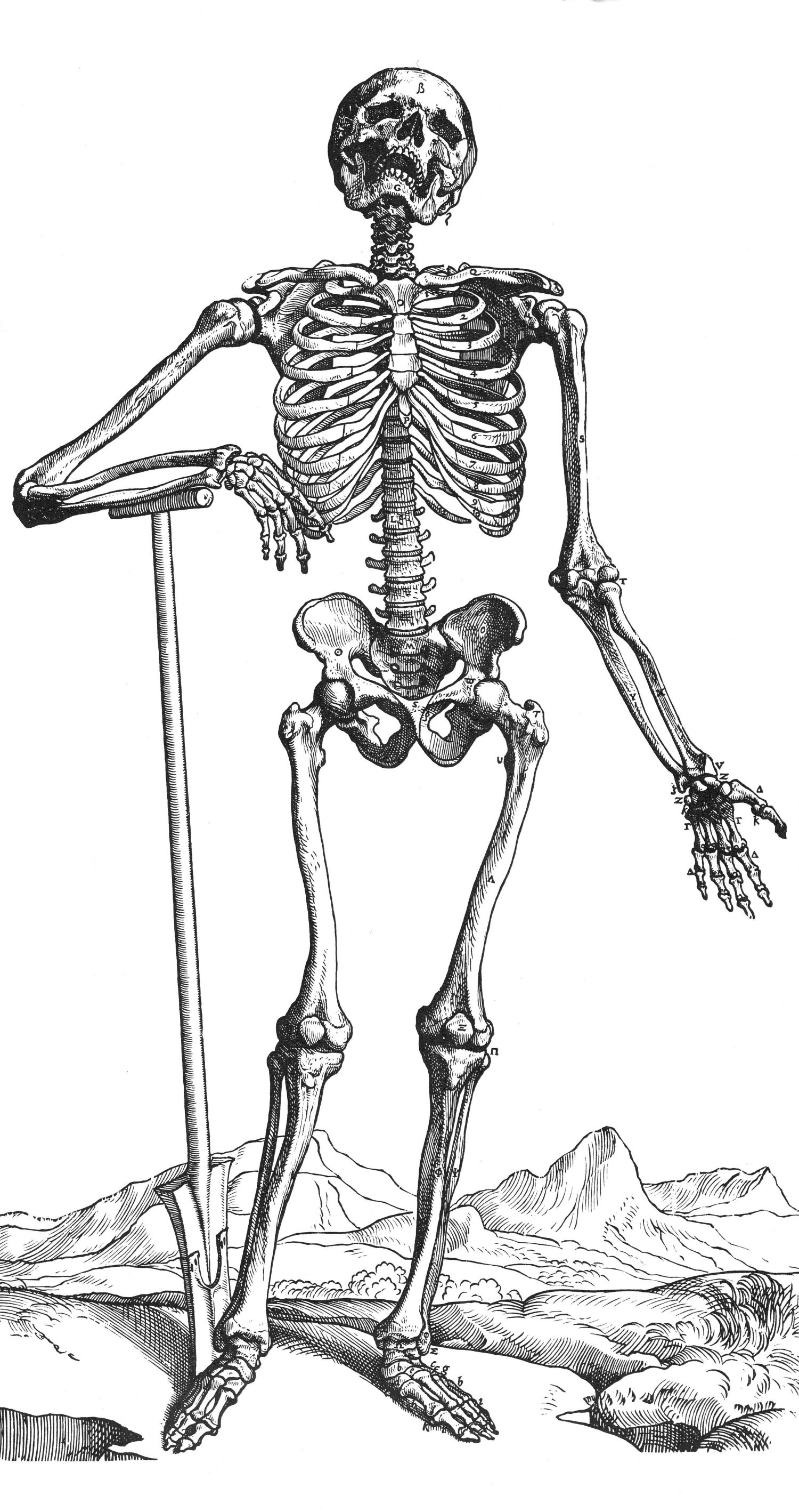 Atlas Of Epidemic Britain By Matthew Smallman-Raynor And Andrew Cliff