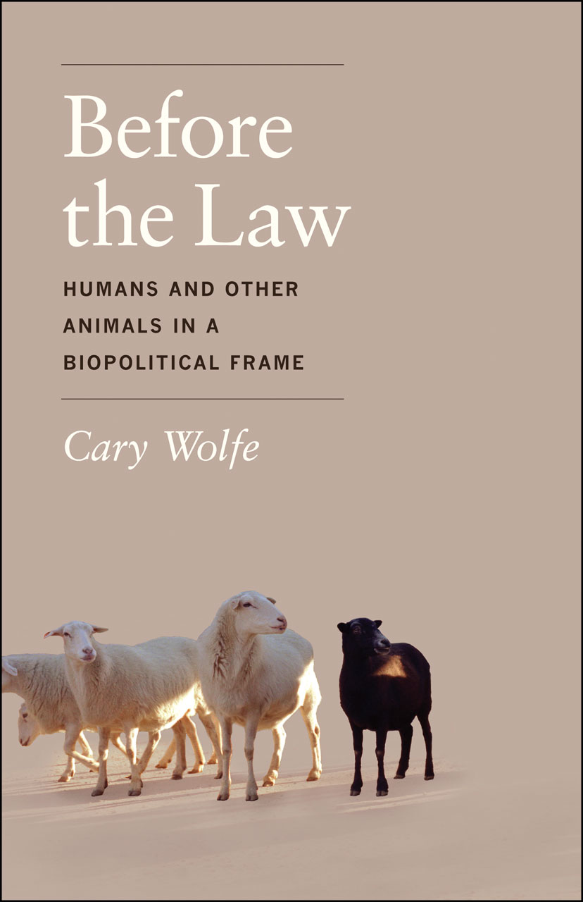 Before The Law By Cary Wolfe