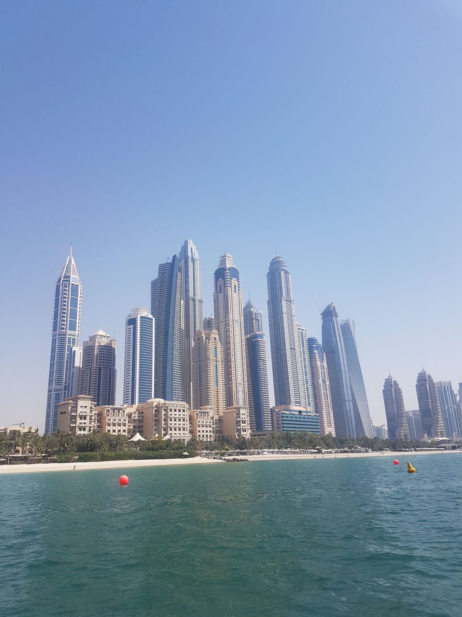 Ocean (Dis)Connections: Values, Ocean Literacy and Stewardship