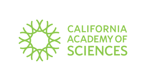 GA4 Audit, Implementation, Setup & Support Services - GA4 Help - USA, UK, Ireland