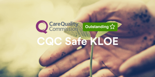 KLOE Key Lines of Enquiry CQC - The Complete Guide | Birdie Blog