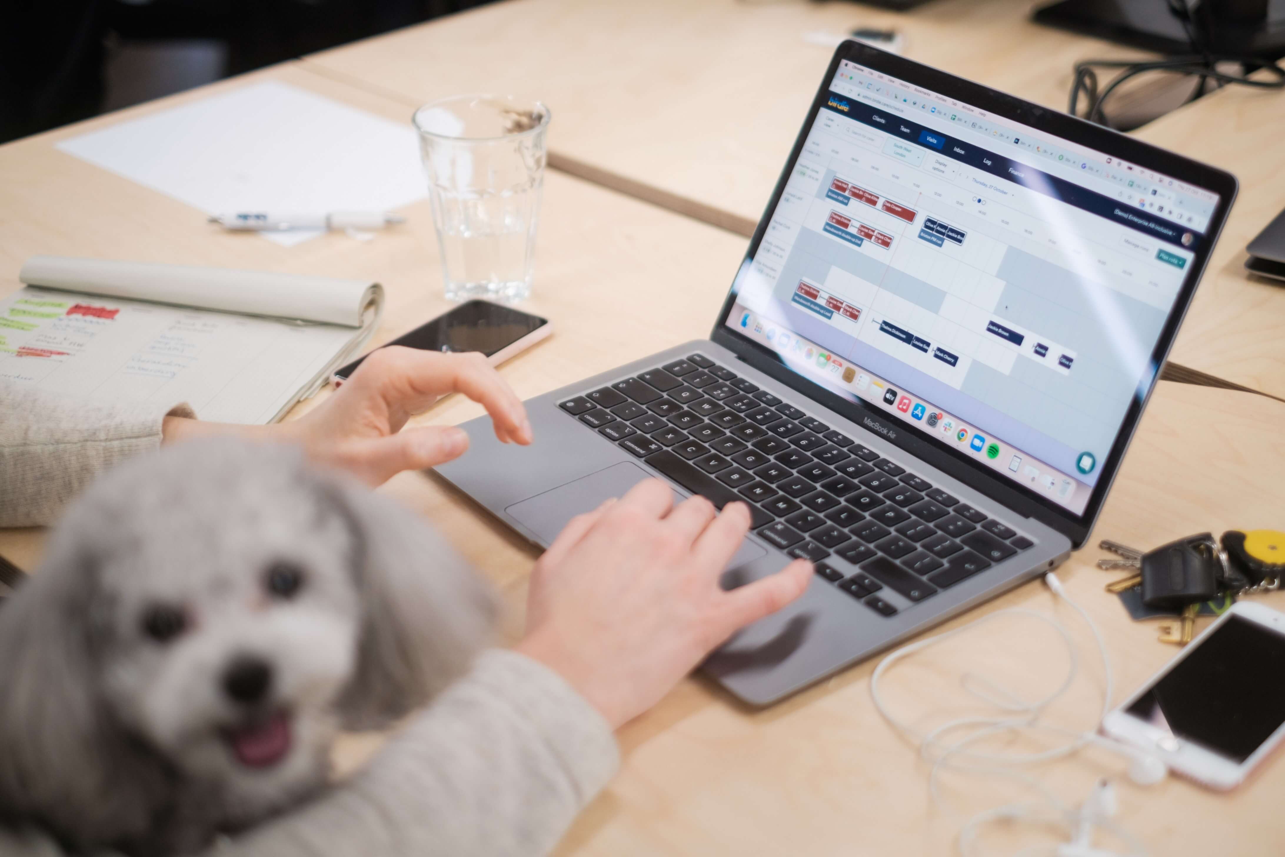 8 Best Homecare Communication Tools | Birdie Blog