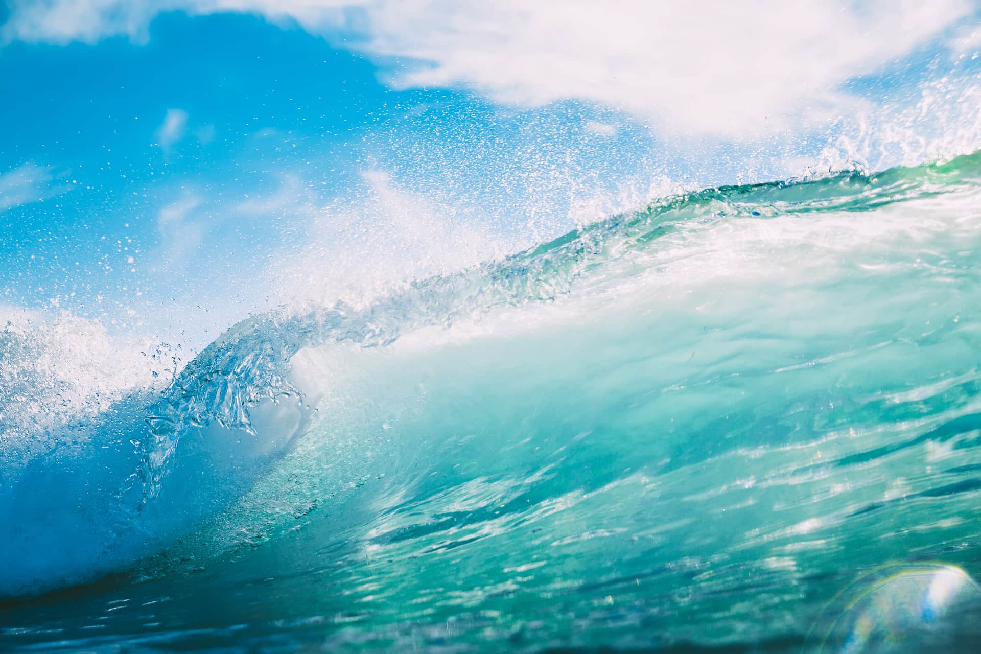 (NEWS) Joint UNOC 2022 Side Event - Empowering Women: An Ocean of ...