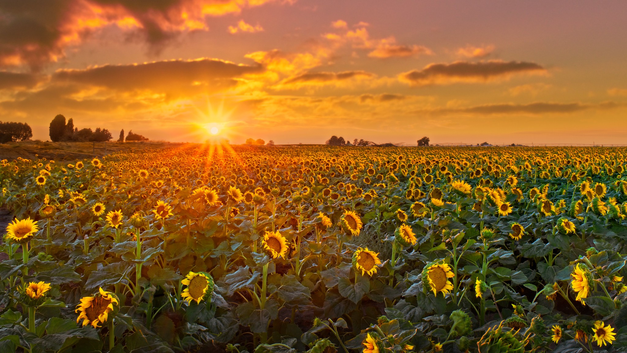 November 9, 2022: Community - Defined Decarbonization (Shift Zero)