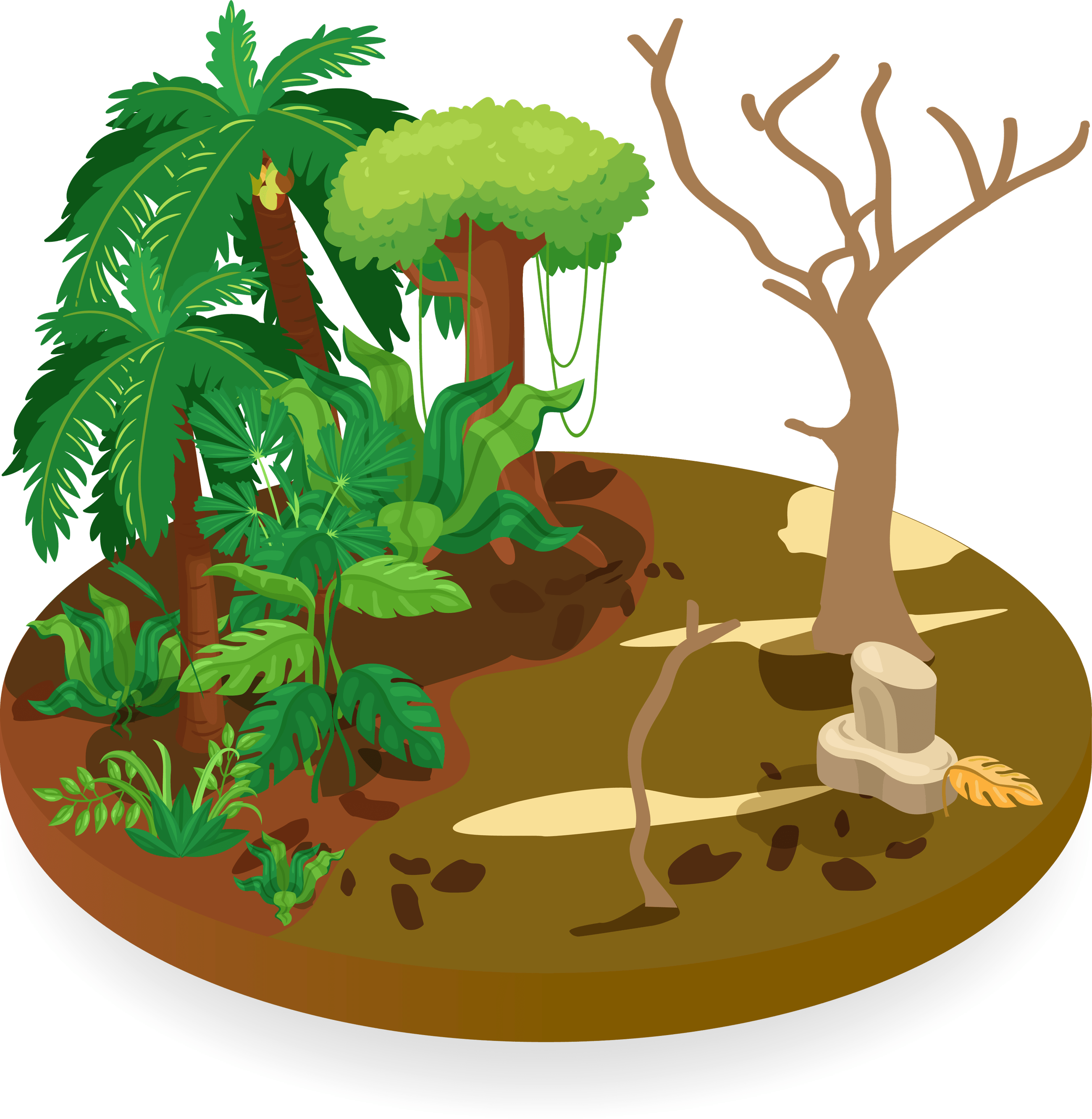 Forestwise - #RainforestValue