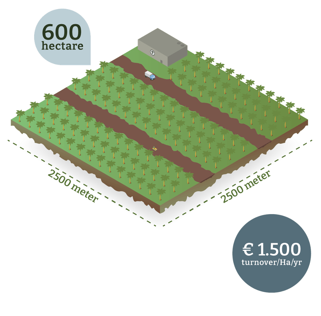 Forestwise - #RainforestValue