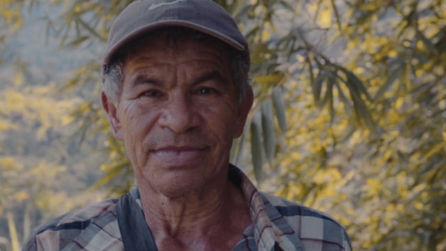 Drive Thru TV | Patrick Pierson