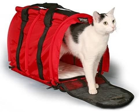 The 13 Best Cat Carriers [For All Your Travel Needs]