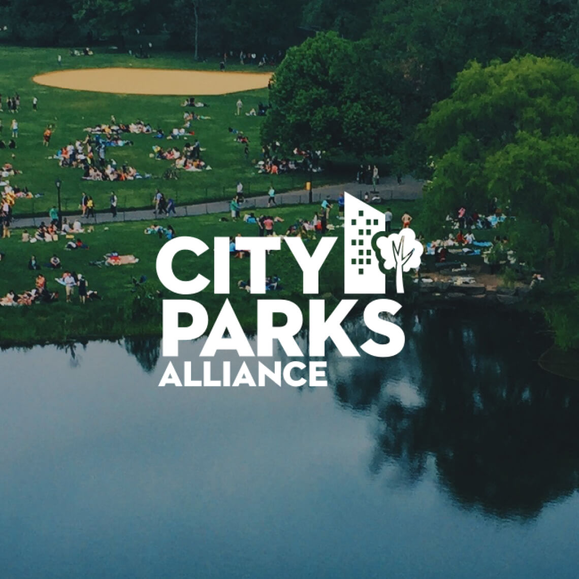 Experience Digital With Us - Social Driver