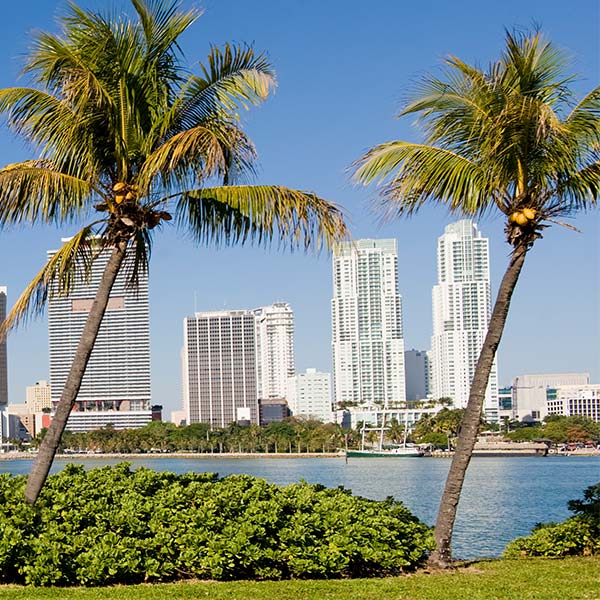 Why a Miami Data Center is Good for Business