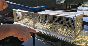 Pond Scum | Pond Cleaner | Beach Rake