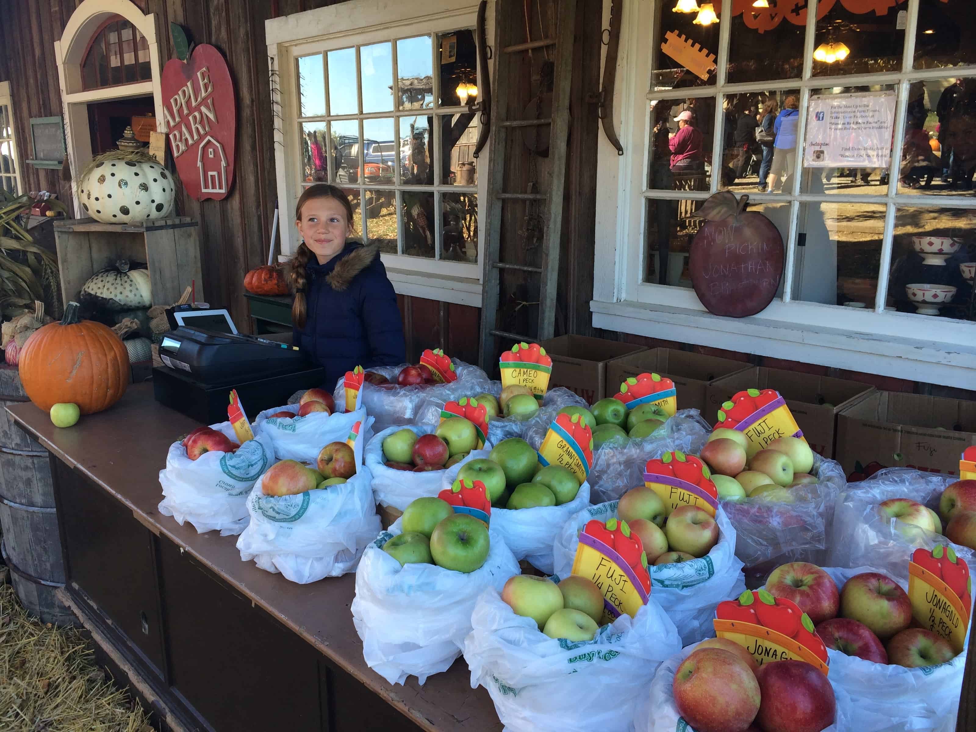 Weston Red Barn Farm \ Visit Us