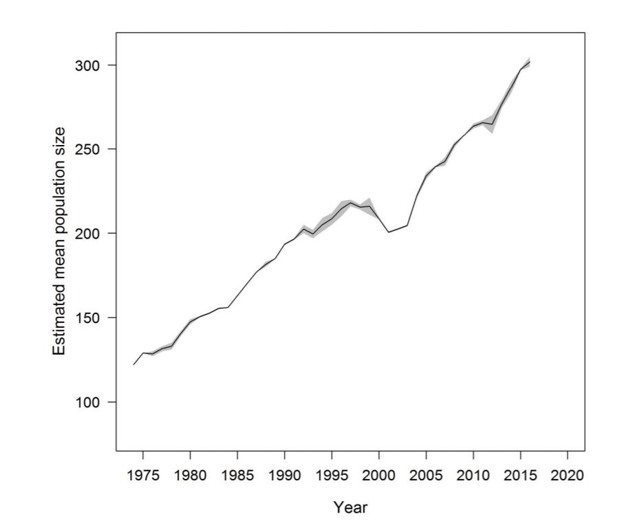 Why the Southern Resident Killer Whales are Dying - Capital Daily